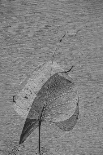 "Traces of Time" - Photography Marketplace
